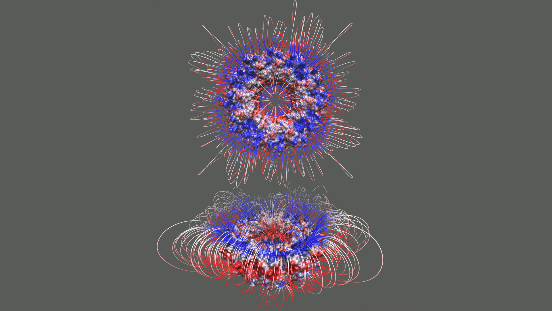 Perché la biofisica? | ALLA ENNE